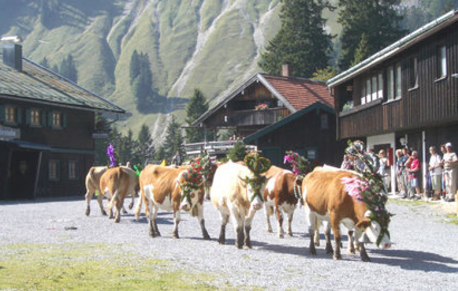 Berggasthof Obere Firstalm | Miesbacher Alpenland, Schliersee